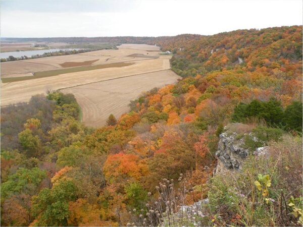 Salt Lick Point – Village of Valmeyer, Illinois