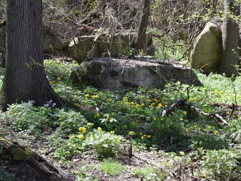Salt Lick Point – Village of Valmeyer, Illinois