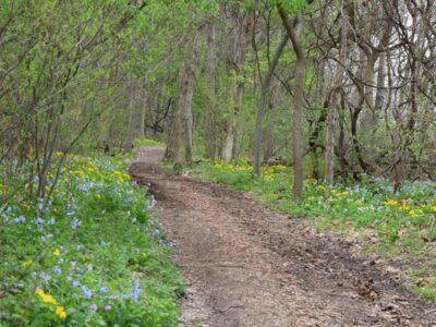 Salt Lick Point – Village of Valmeyer, Illinois